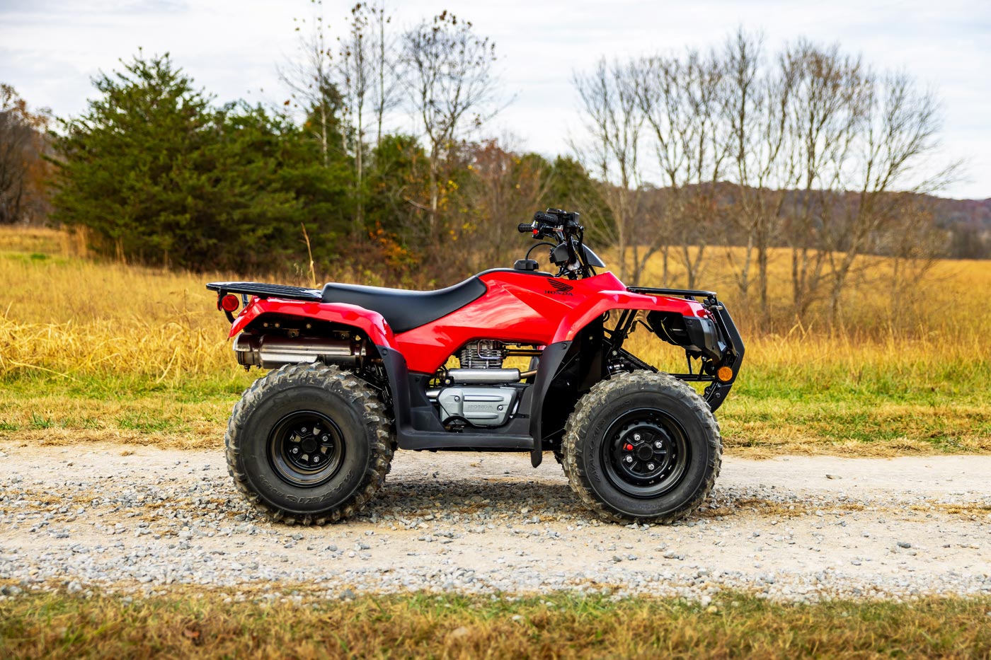 Honda TRX 250 TM, potencia y versatilidad en un diseño compacto ...